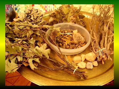 El pueblo de las Plantas y los Arboles nos guían con su sabiduria.