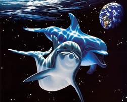 Delfines, ballenas... guiándonos en el camino hacia nuestros corazones.